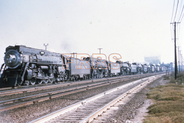 SP_4441