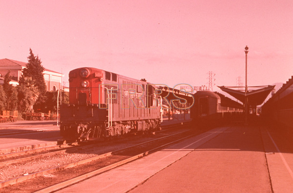 SP_4809
